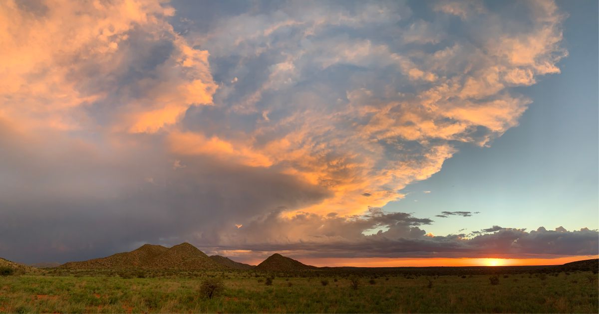 Kalahari Seasons | Green Kalahari │Tswalu Kalahari