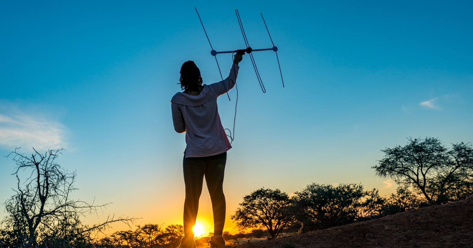 Valery Phakoago | Interview | Pangolin research | Tswalu Kalahari