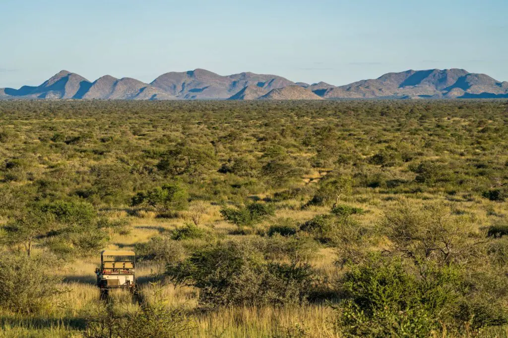 Private Wildlife Reserve | Luxury Safaris | Tswalu Kalahari