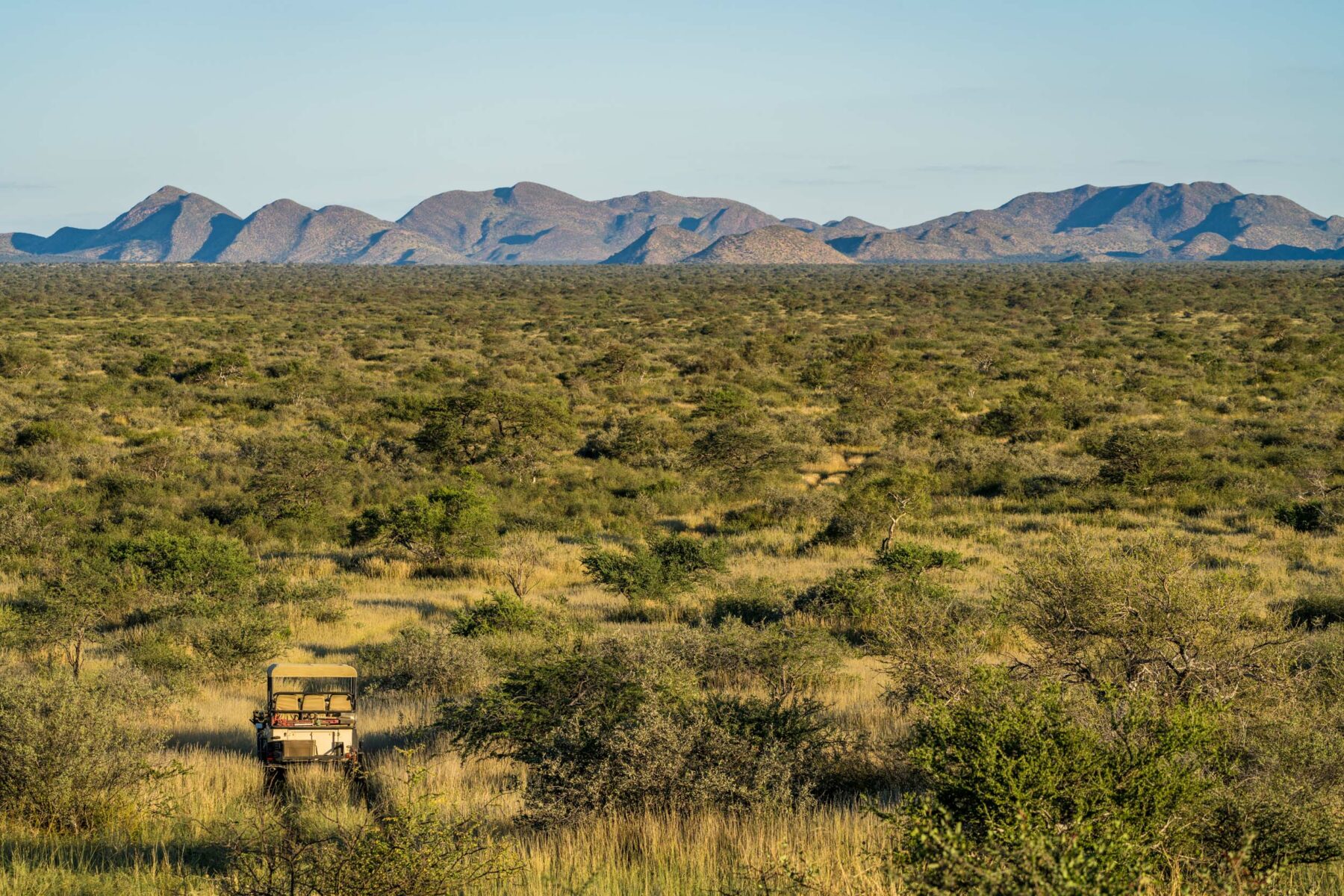 THE BEST OF BOTH (SAFARI) WORLDS | Tswalu