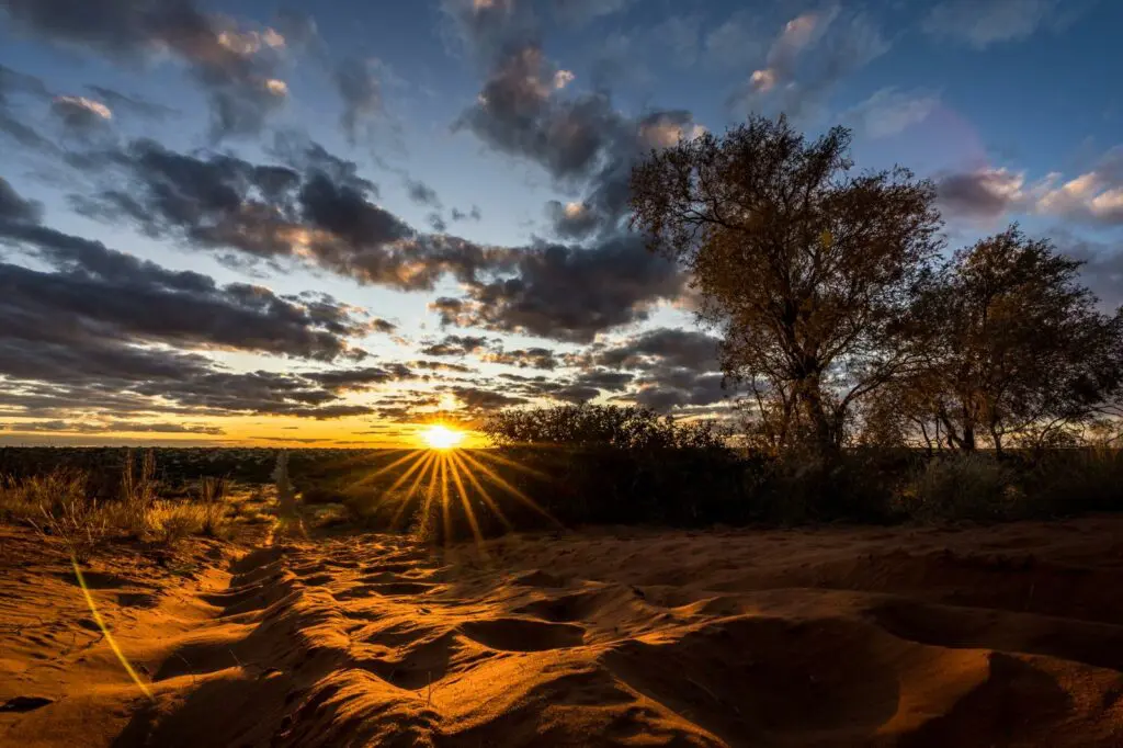 Private Wildlife Reserve | Luxury Safaris | Tswalu Kalahari