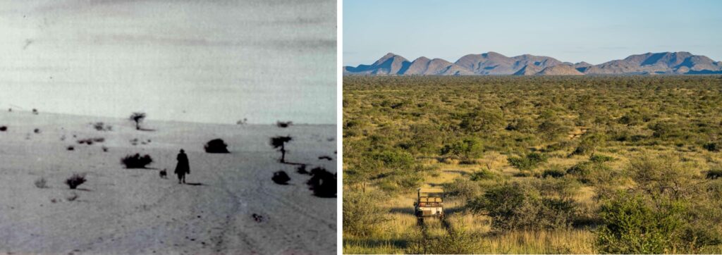 CELEBRATING TSWALU'S LIVING HERITAGE | Tswalu
