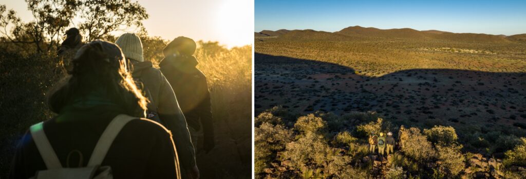 Petroglyphs on Bushman Hill | Tswalu Kalahari Reserve