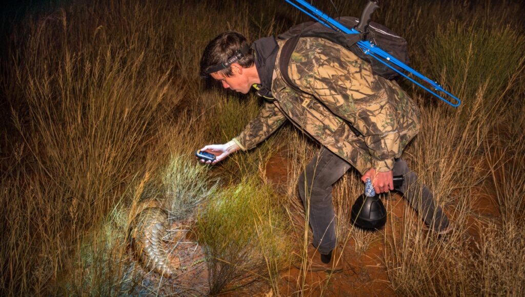 IN CONVERSATION WITH RESEARCHER DANIEL ROSSOUW | Tswalu